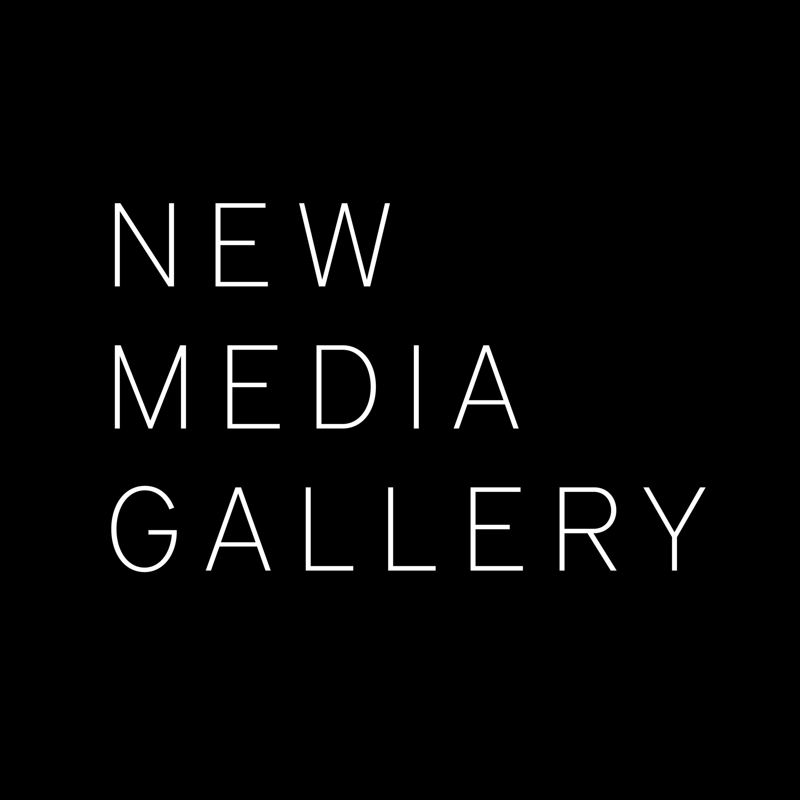 Media Image Gallery Choose A Media Gallery To Display Your Work